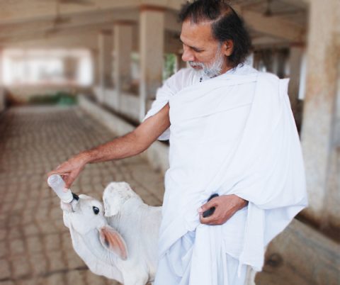 Meet the Siddhayatan Team | Spiritual Monks, Nuns & Teachers