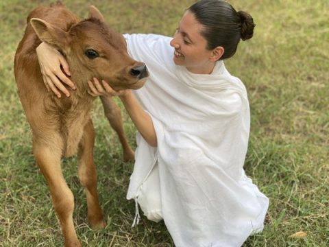 Meet the Siddhayatan Team | Spiritual Monks, Nuns & Teachers